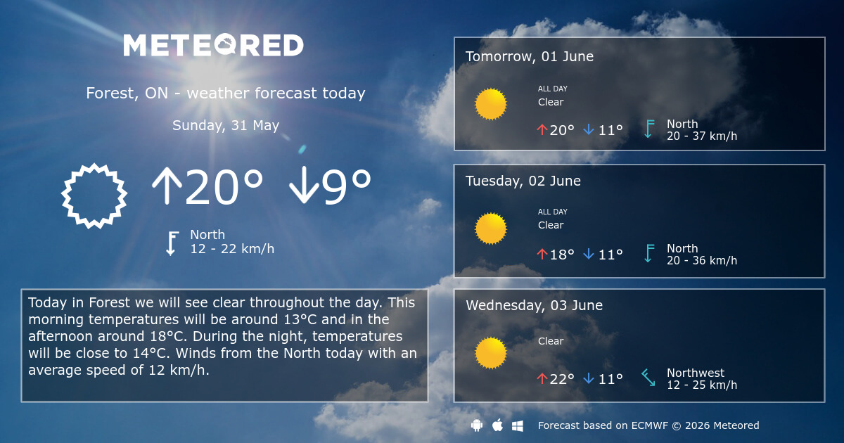 Weather Forest, ON 14 days - Meteored Canada