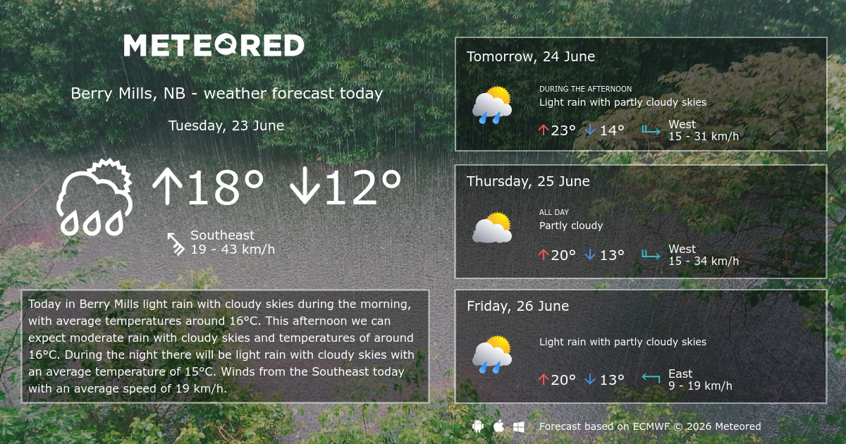 Weather Berry Mills, NB 14 days - Meteored Canada
